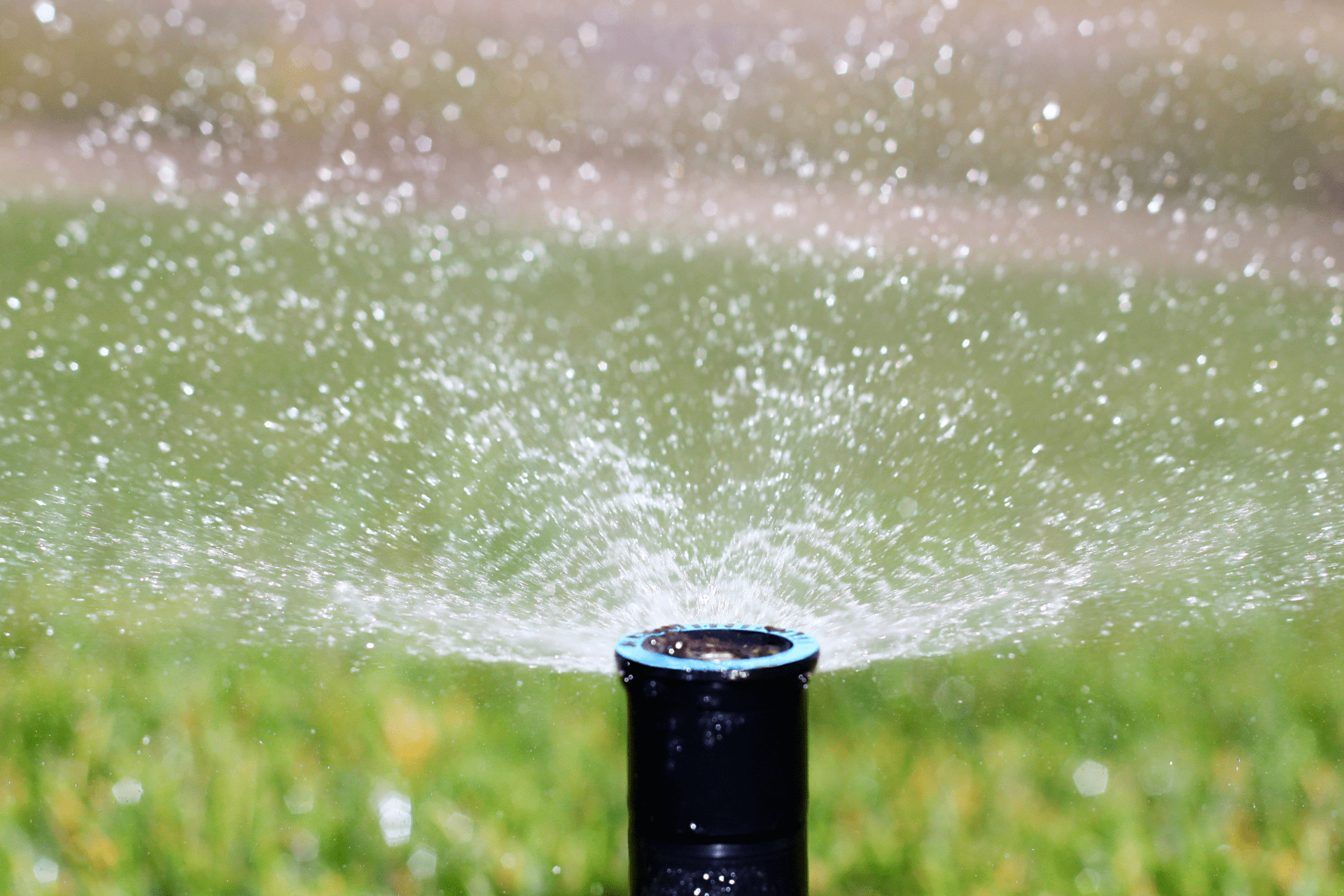 How to Kick-Start Your Spring Irrigation System for a Healthy Lawn and ...